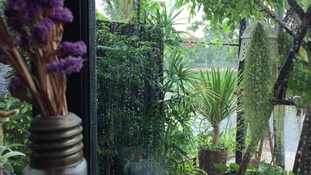 Chill, Relax, Rain. Free Stock Video - Pixabay