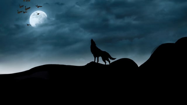Horror, Wolf, Moonlight. Free Stock Video - Pixabay