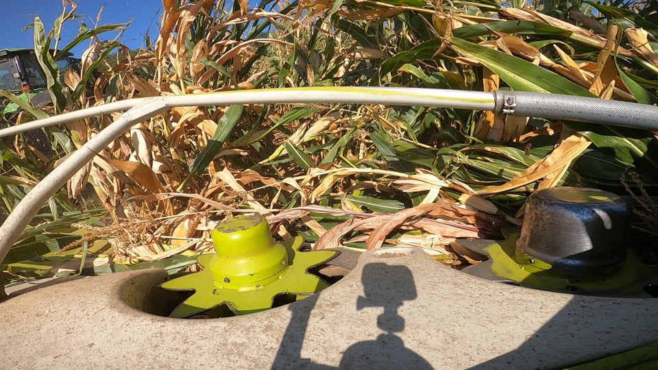 Maize Farm Videos: Download 2+ Free 4K & HD Stock Footage Clips - Pixabay