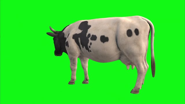 6,000+ Free Green Screen Stock Videos - Pixabay - Pixabay