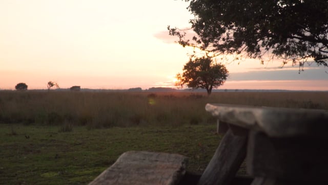 Picnic Table, Sunset, Afternoon. Free Stock Video - Pixabay