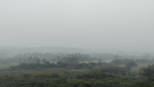 Landscape, Rain, Nature. Free Stock Video - Pixabay