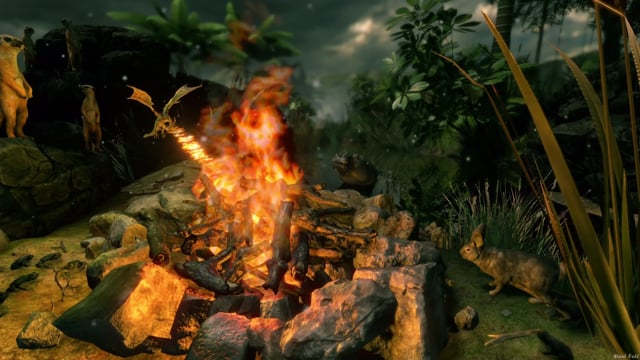 Campfire, Animals, Bonfire. Free Stock Video - Pixabay