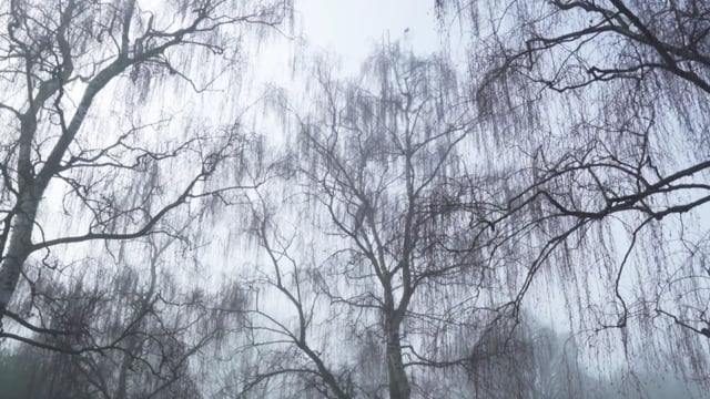 Funeral Background Videos: Download 12,561+ Free 4K & HD Stock Footage ...