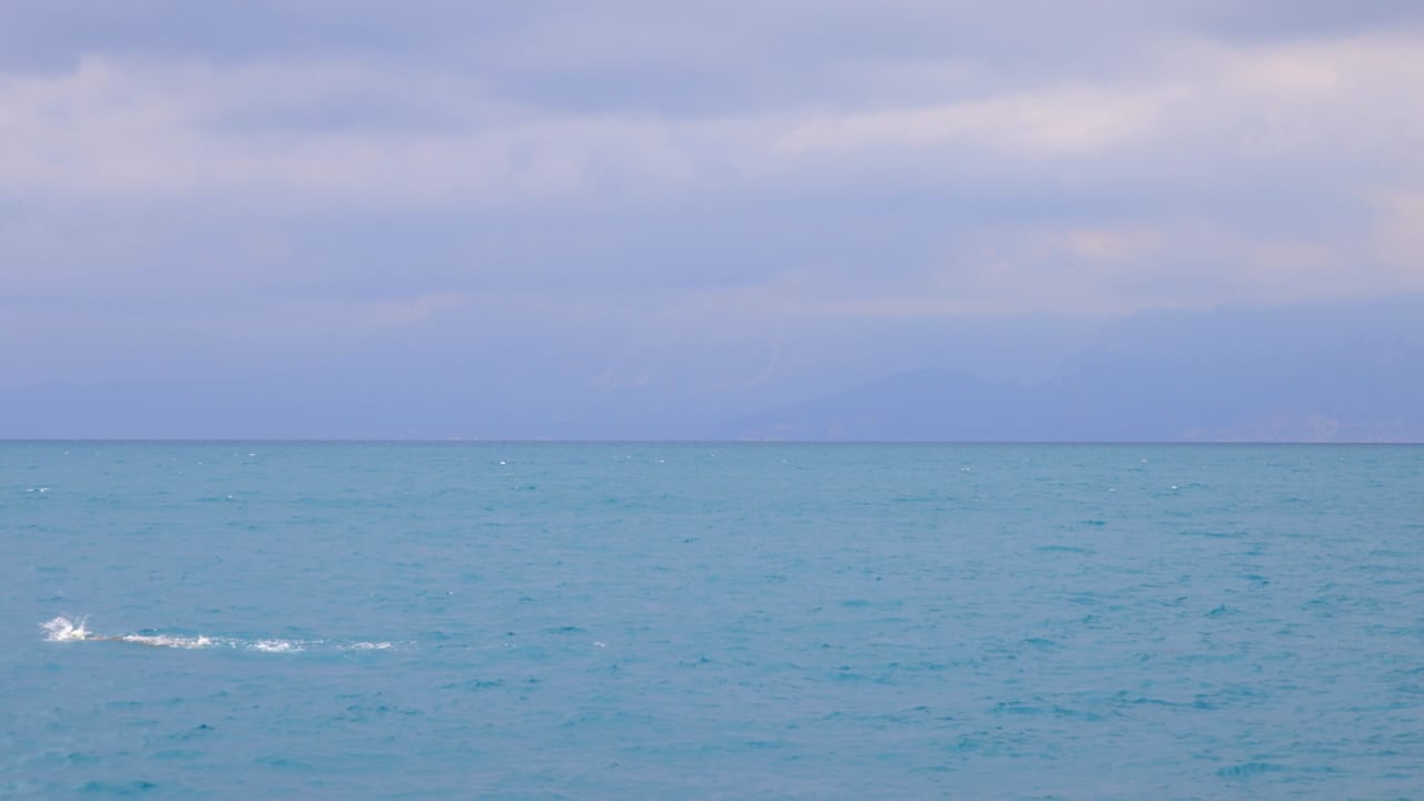Trwałość Videos: Download 3+ Free 4K & HD Stock Footage Clips - Pixabay