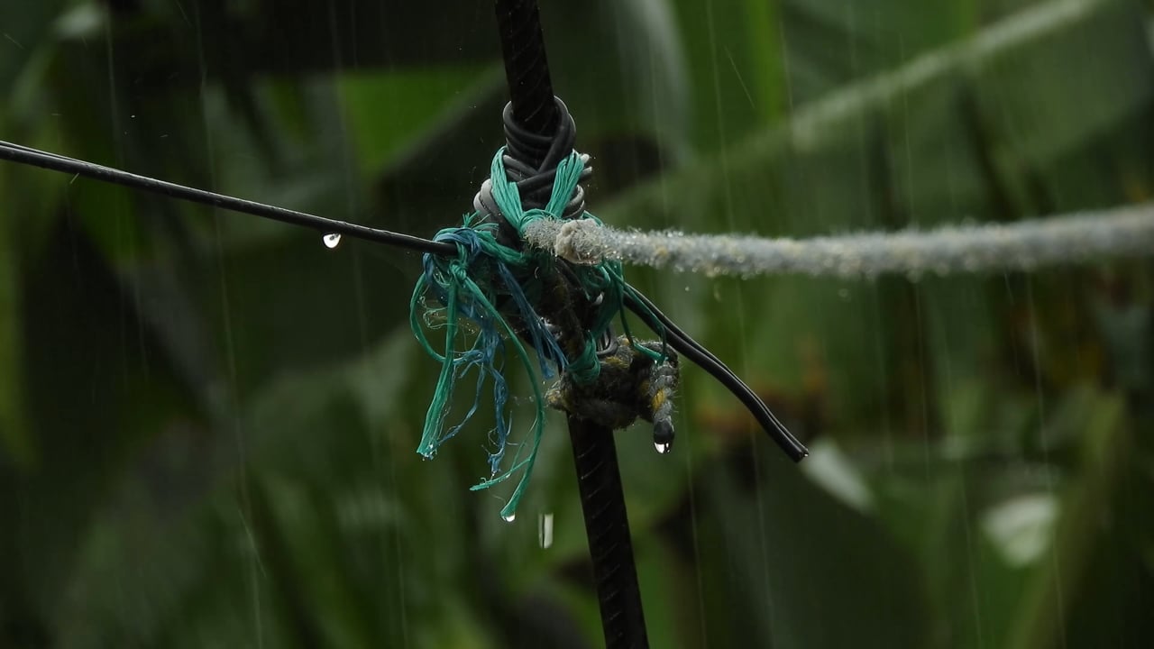 Wires, Ropes, Rain. Free Stock Video - Pixabay