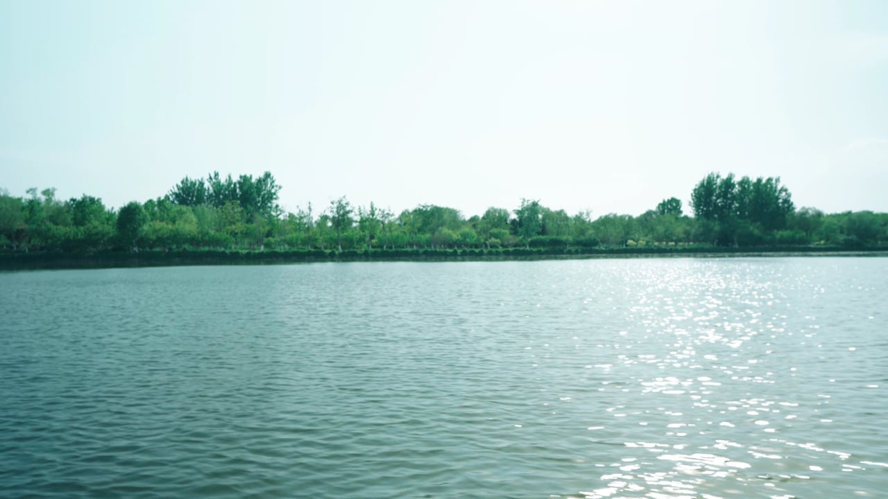 Canal, Open, Water Surface. Free Stock Video - Pixabay