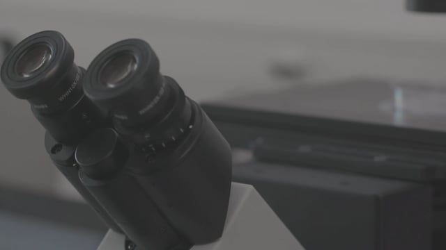 Microscope, Research, Doctor. Free Stock Video - Pixabay
