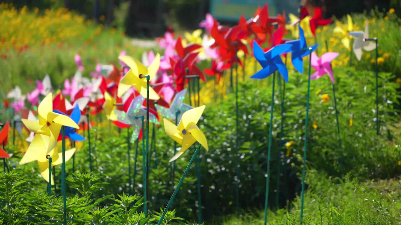 Pinwheel, Wind, May. Free Stock Video - Pixabay