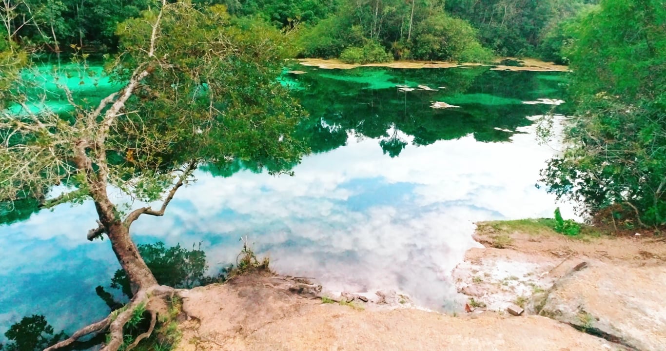 Pond, Blue, Spring. Free Stock Video - Pixabay