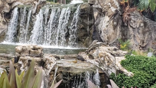 Waterfalls, Beautiful, Water Stones. Free Stock Video - Pixabay
