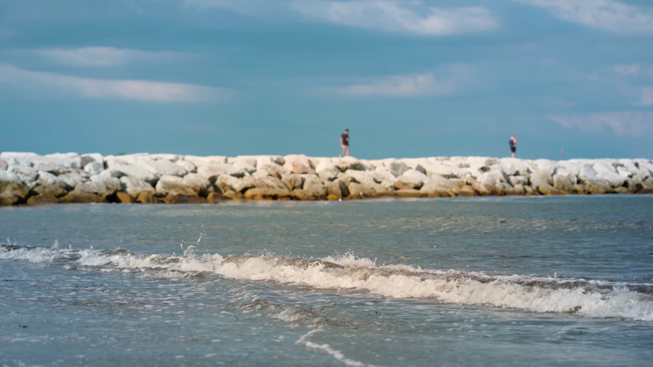 Beach Walks Videos: Download 7,698+ Free 4K & HD Stock Footage Clips ...