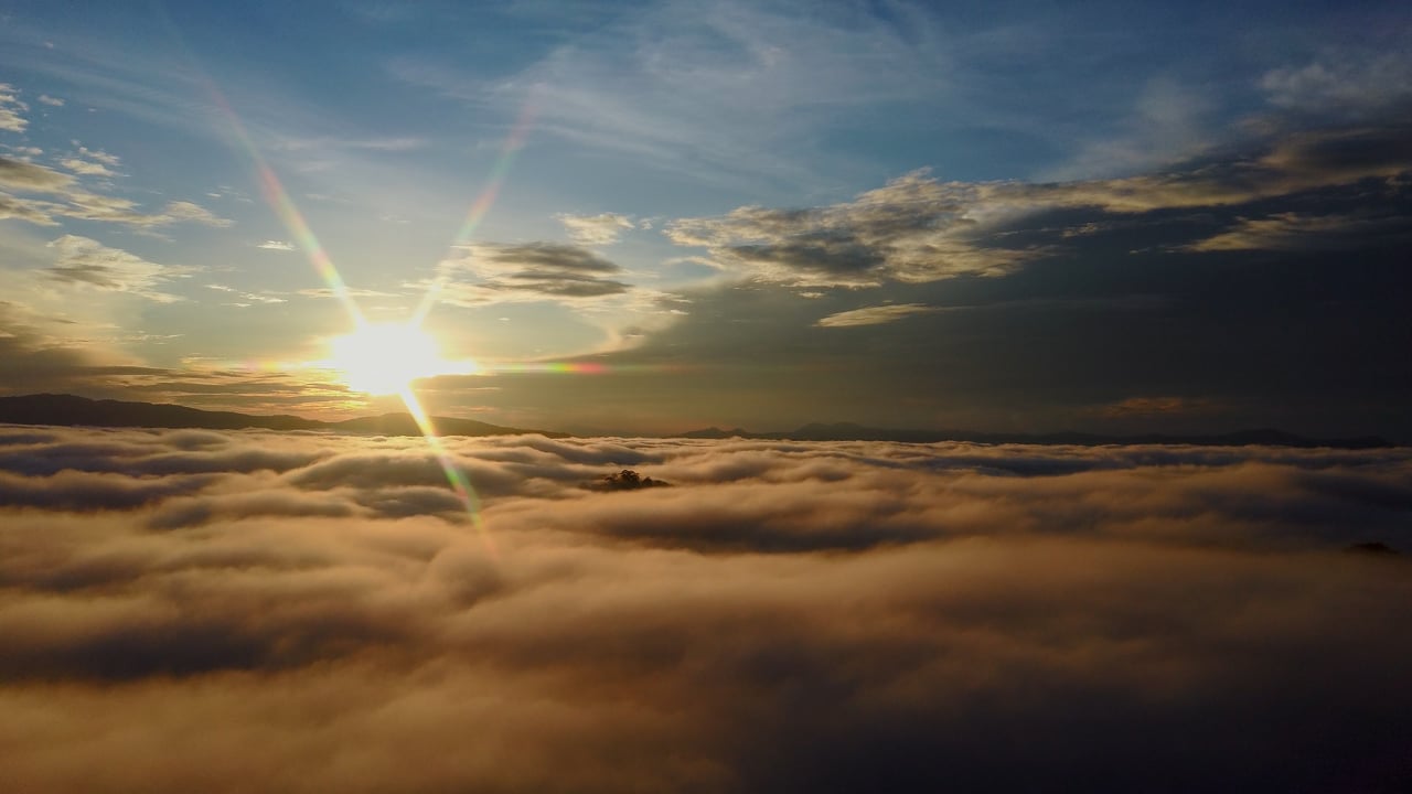 Serbest Ses Videos: Download 7+ Free 4K & HD Stock Footage Clips - Pixabay
