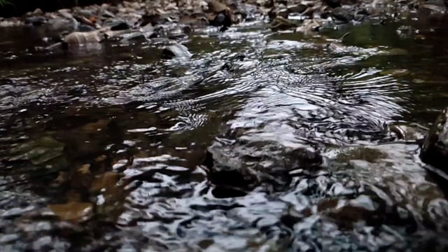 Water Flow, Water, Flowing. Free Stock Video - Pixabay