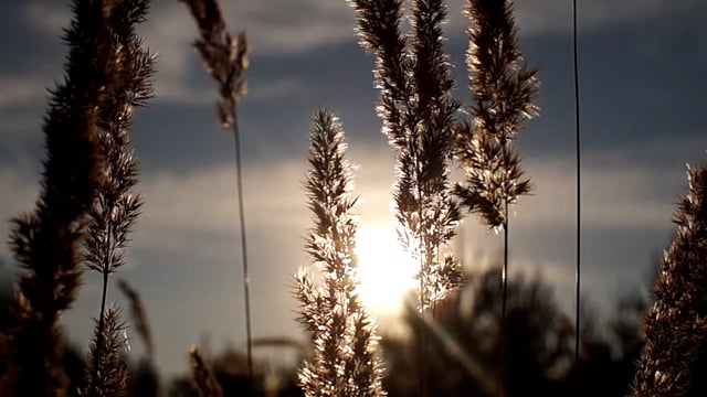 200 Hours Videos: Download 321+ Free 4K & HD Stock Footage Clips - Pixabay