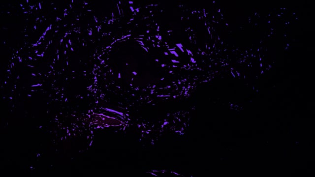 Purple, Texture, Night. Free Stock Video - Pixabay