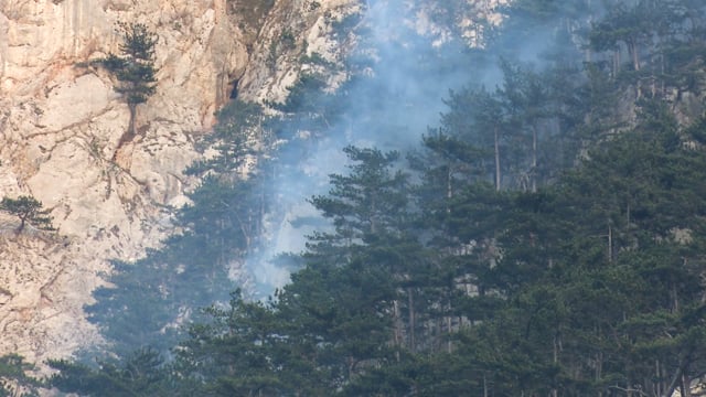 Forest Fire, Smoke, Trees. Free Stock Video - Pixabay