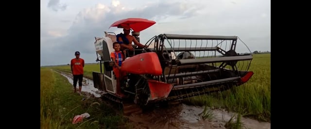 Rice Fields, Tractor, Machine. Free Stock Video - Pixabay