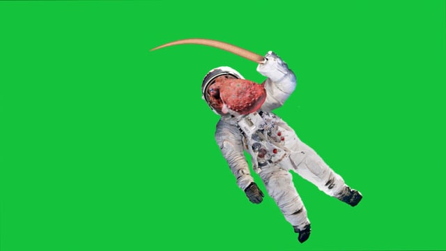 Green Screen, Funny, Alien. Free Stock Video - Pixabay
