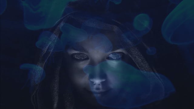 Youtube, Face, Woman. Free Stock Video - Pixabay
