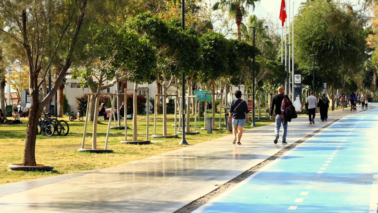 Street, To Walk, Walk. Free Stock Video - Pixabay