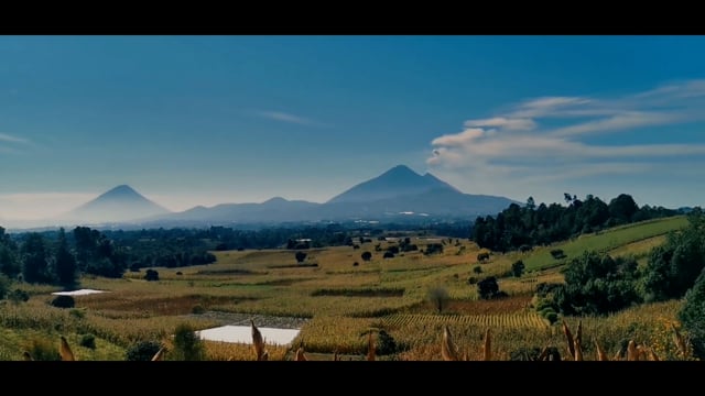 Chimaltenago, Guatemala Crops, Western Guatemala. Free Stock Video ...