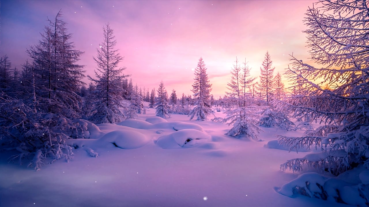 Animated Forest Snow 4K Videos: Download 19,620+ Free 4K & HD Stock ...