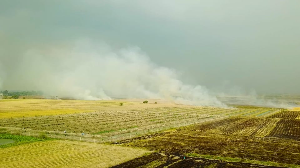 Campo Paja Incendio - Free video on Pixabay