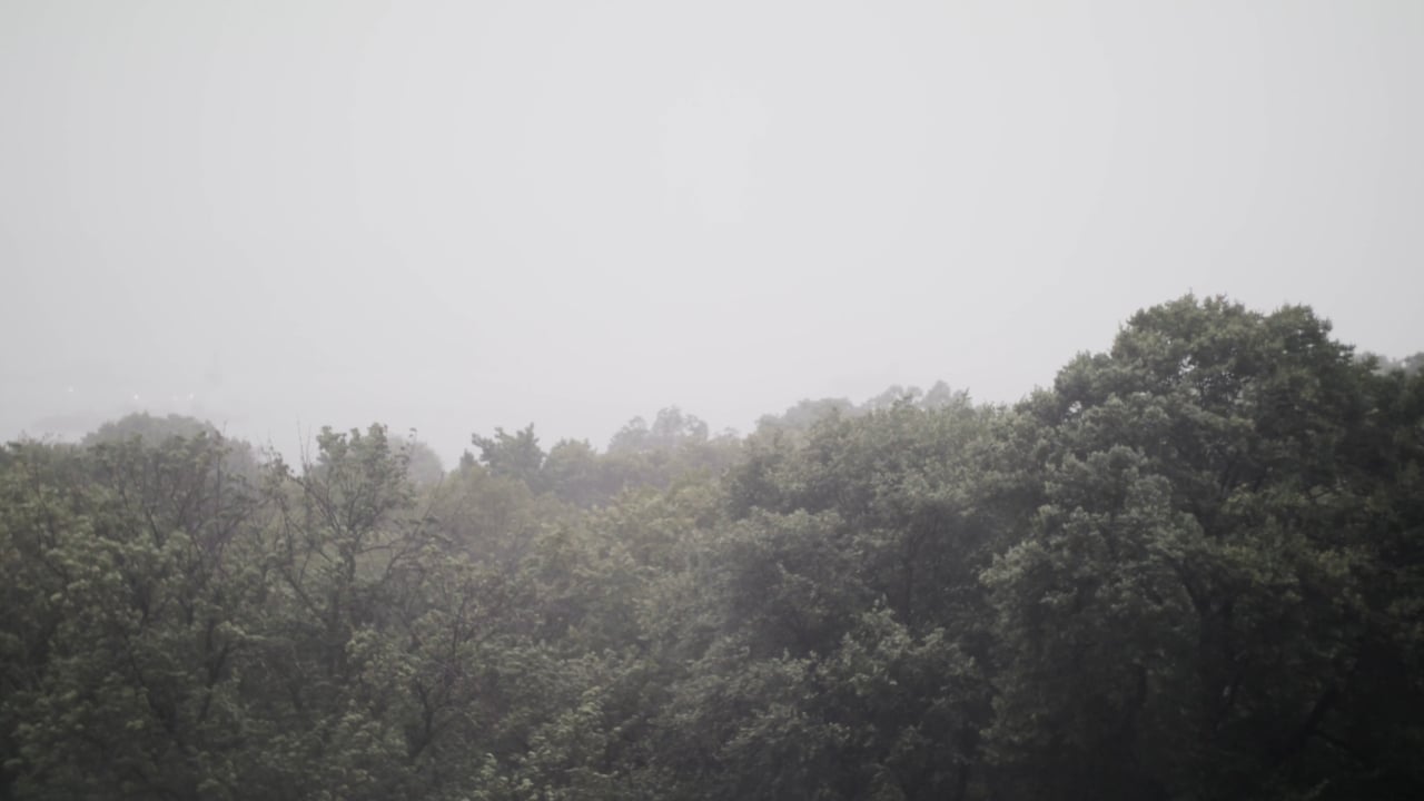 Weather, Storm, Rain. Free Stock Video - Pixabay