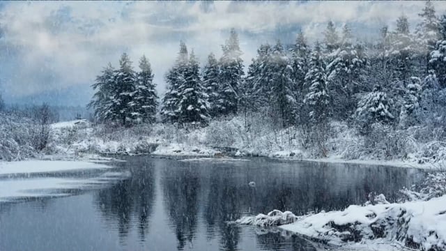 Snowfall, Winter, Snow. Free Stock Video - Pixabay