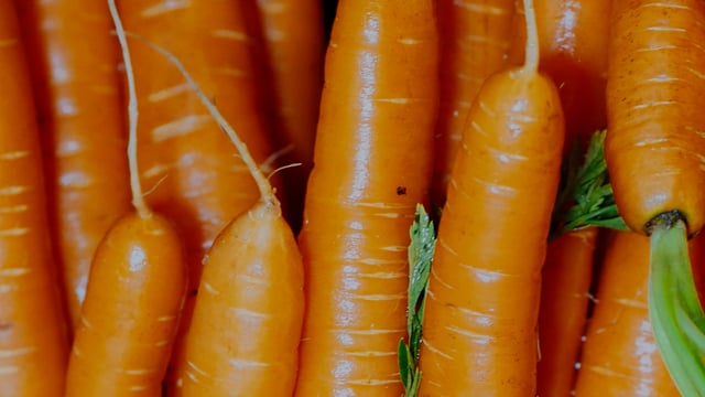 Carrot, Vegetable, Turn. Free Stock Video - Pixabay