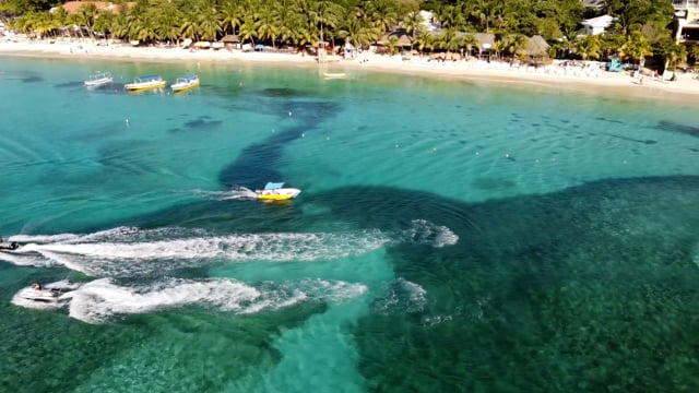 Roatan Honduras Videos: Download 8+ Free 4K & HD Stock Footage Clips ...