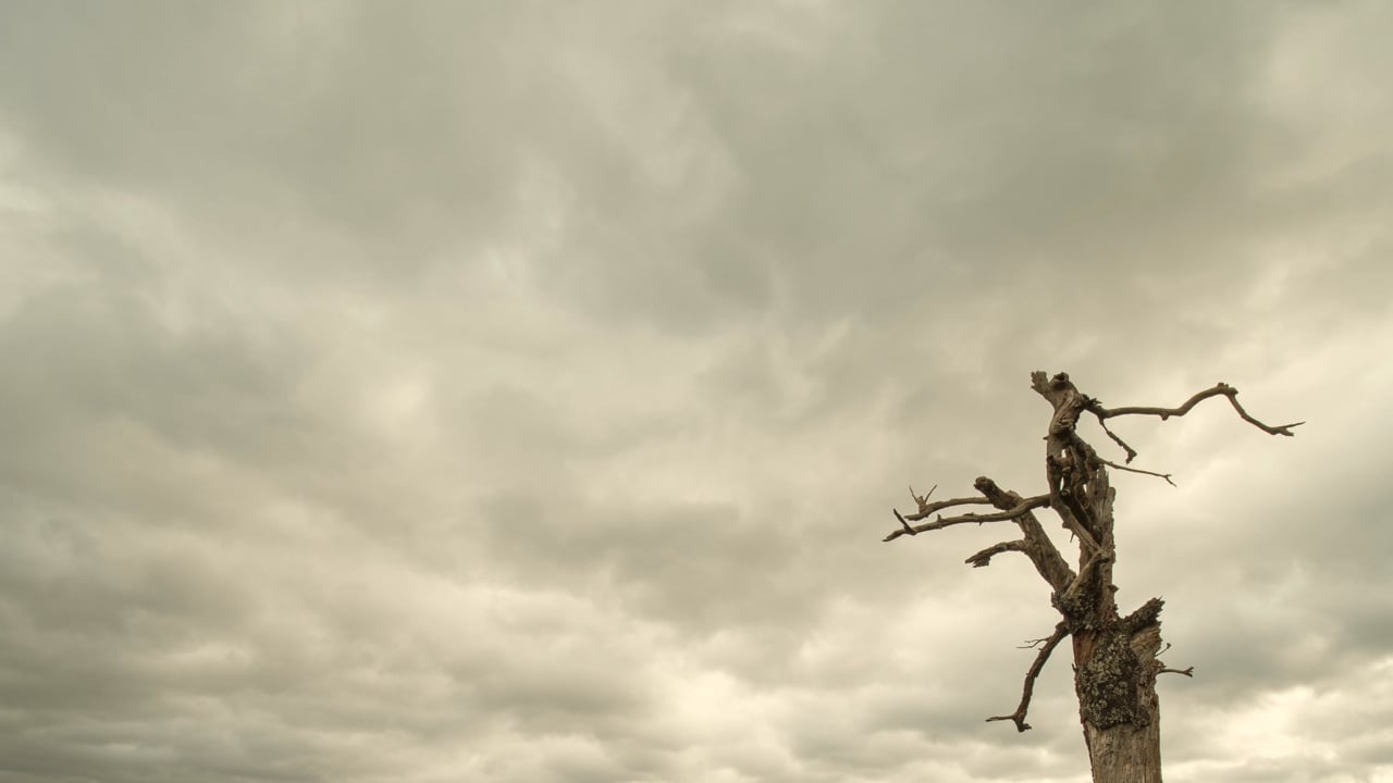 Moving Sky Videos: Download 12,343+ Free 4K & HD Stock Footage Clips - Pixabay