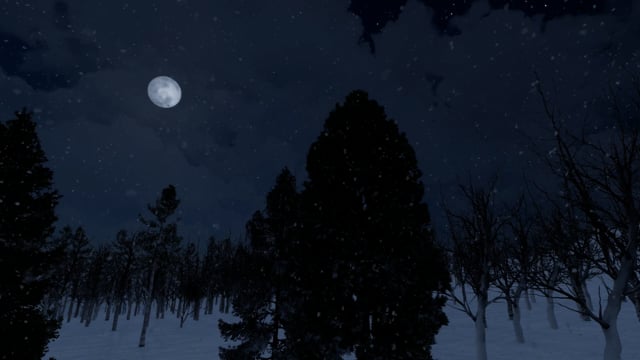 Snow, Moon, Night. Free Stock Video - Pixabay