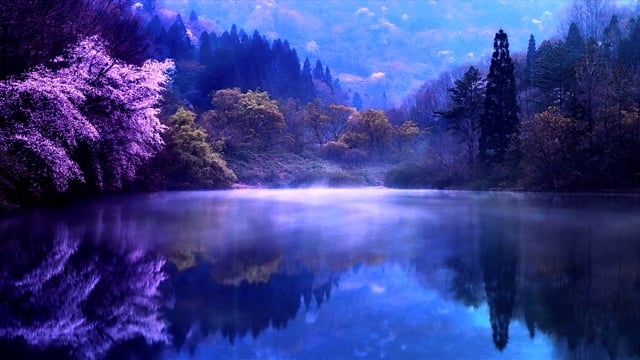 Page 6 - Nature Live Wallpaper Videos: Download 37,236+ Free 4K & HD ...