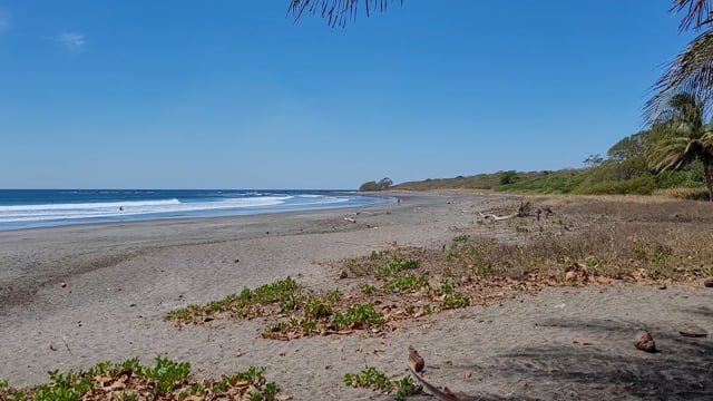 Sea, Arena, Surfing. Free Stock Video - Pixabay