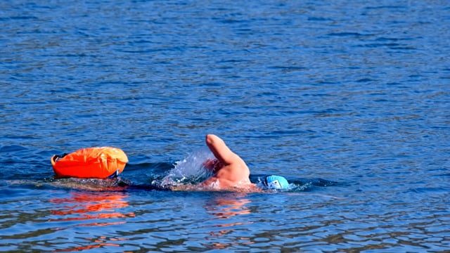 Swimmer, Man, Crawl. Free Stock Video - Pixabay