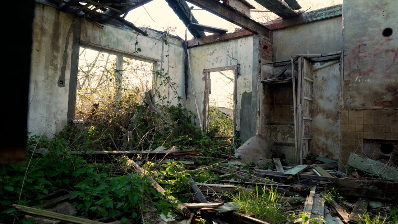 Abandoned, Grass, Nature. Free Stock Video - Pixabay