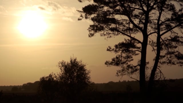 Nature, Sunset, Afternoon. Free Stock Video - Pixabay