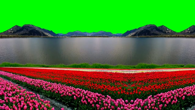 Natural Background, Nature Background Effect, Green Screen Background ...