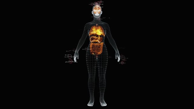 Full Body Massage Videos: Download 910+ Free 4K & HD Stock Footage ...