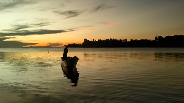 Sunrise, Morning, Vibes. Free Stock Video - Pixabay