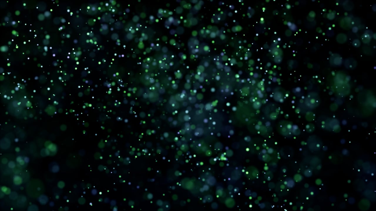 Star, Spider Web, Stars. Free Stock Video - Pixabay