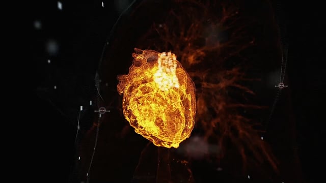 Heart+Anatomy Videos: Download 20+ Free 4K & HD Stock Footage Clips ...