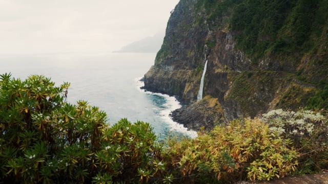 Waterfall, Sea, Ocean. Free Stock Video - Pixabay