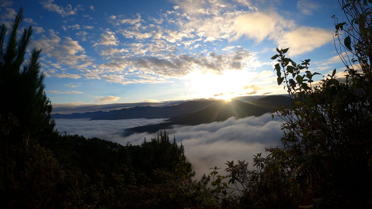 Ságada Videos: Download 1+ Free 4K & HD Stock Footage Clips - Pixabay