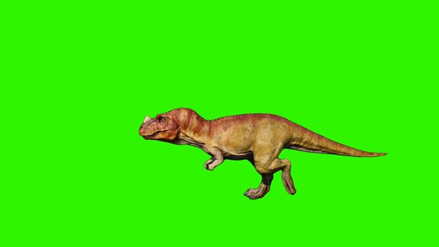 T-Rex, Ceratosaurus, Green Screen. Free Stock Video - Pixabay