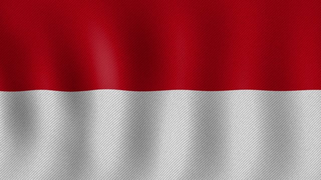 Flag, Monaco, Kingdom Of Monaco. Free Stock Video - Pixabay