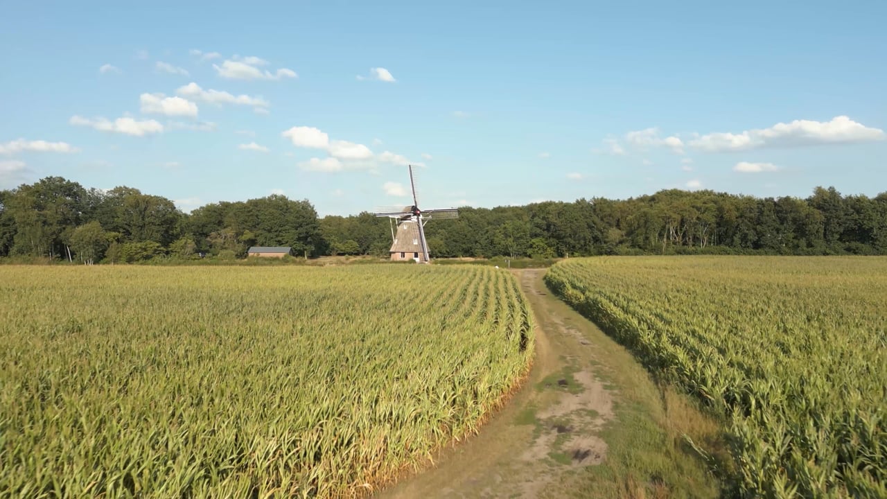 Farmland Path Videos: Download 1,342+ Free 4K & HD Stock Footage Clips ...