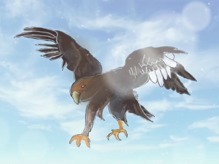 Águila Pájaro Volar - Free video on Pixabay